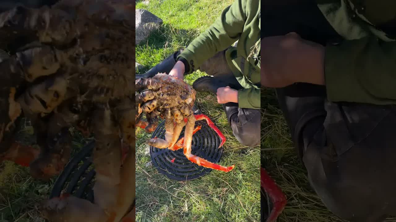 The view all sea food fans are waiting for...