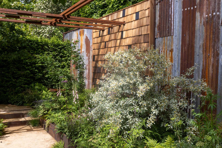 Chelsea Flower Show’s biggest trend? Wild, mid-height planting ...