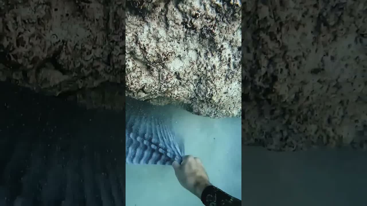 What happens when you pull a mysterious bag from the ocean floor