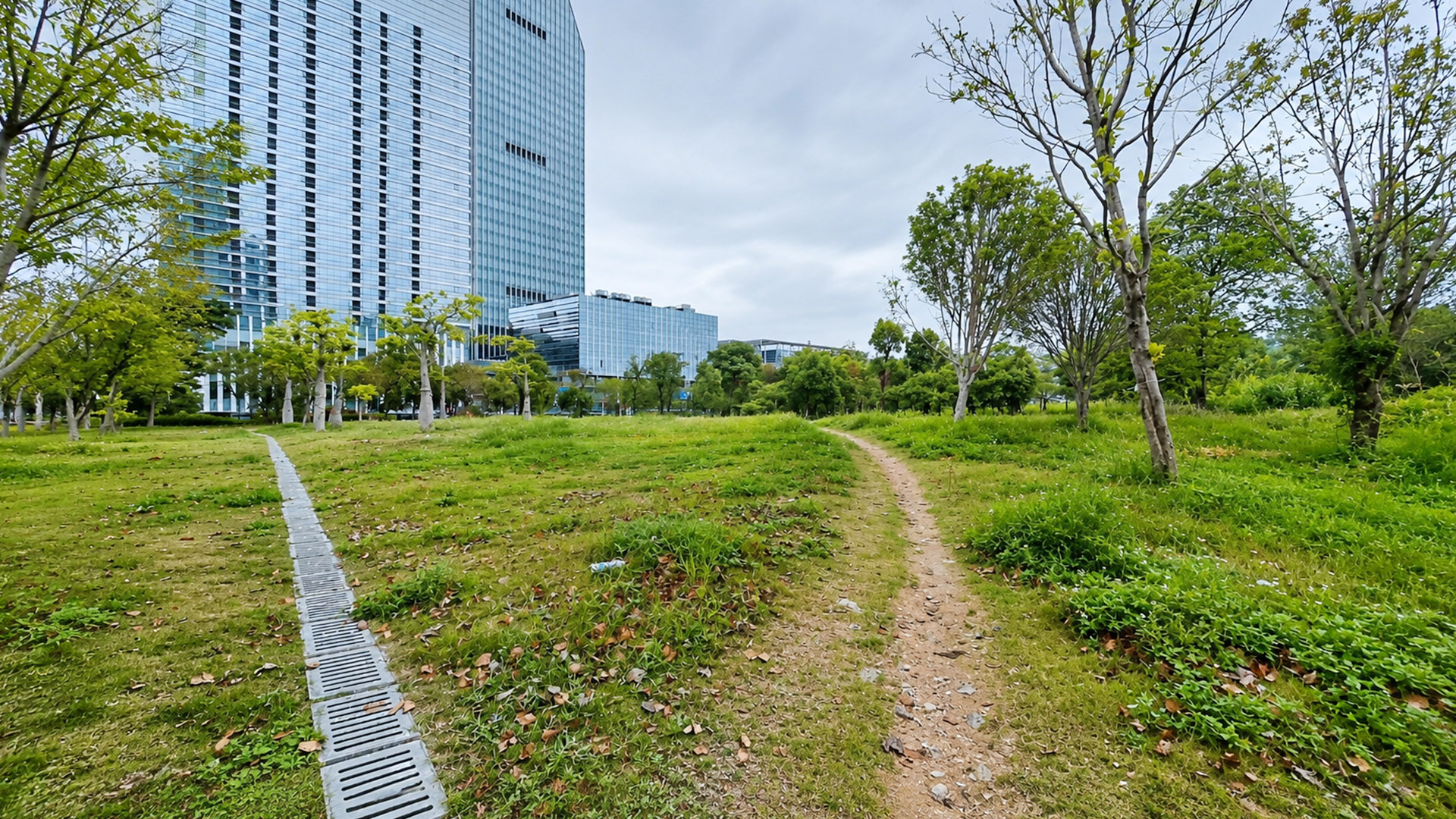 Large open green areas hidden between China’s tall buildings