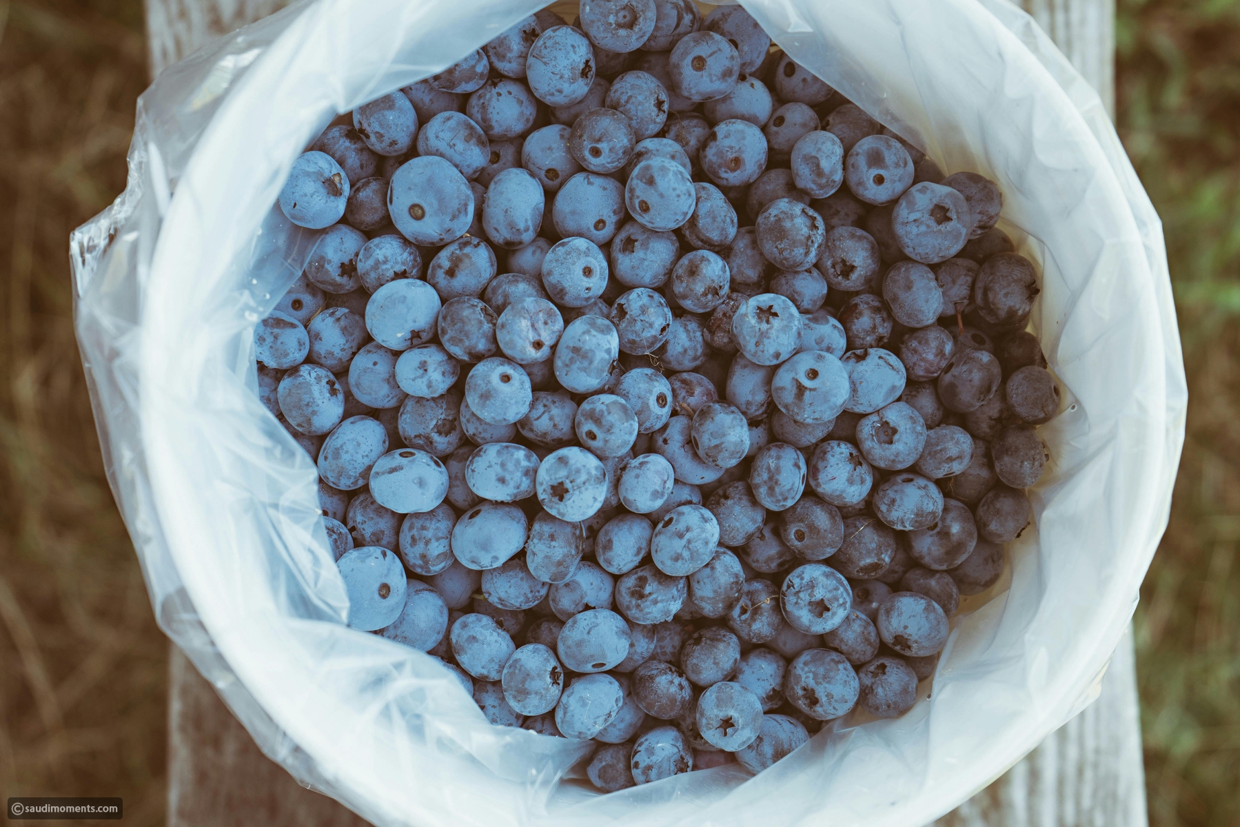 Anti-aging foods that may help you look and feel younger