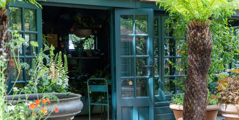 The indoor plant trends taking over the RHS Chelsea Flower Show 2026