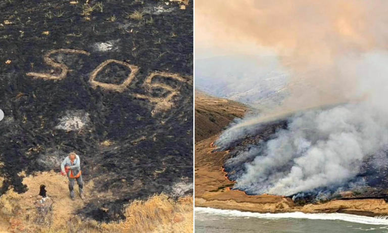 Shipwrecked sailor accidentally burns down a quarter of Santa Rosa ...