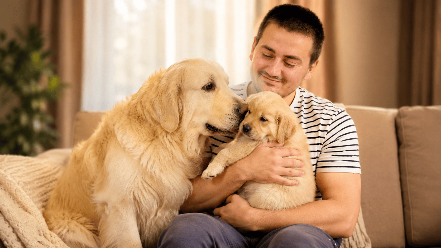 Golden retriever wants in on dad’s puppy hug