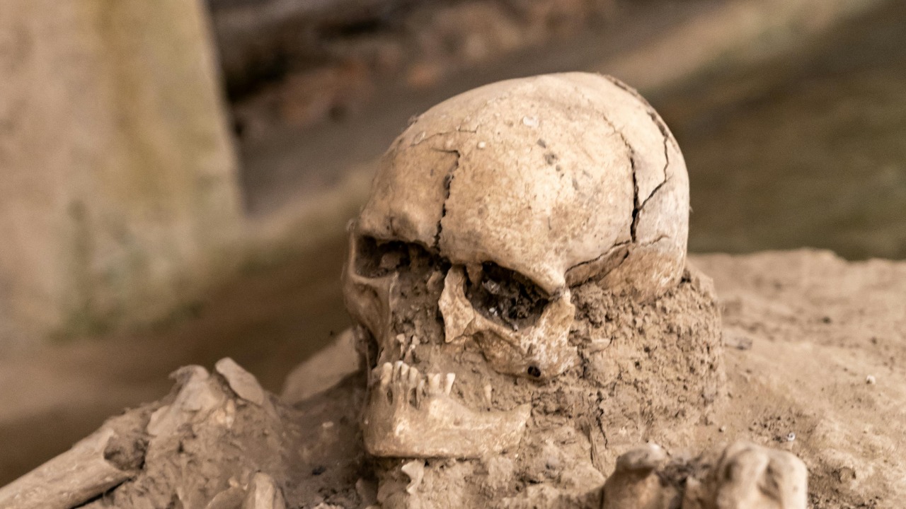 A submerged cave on the Yucatán Peninsula just yielded an 8,000-year ...