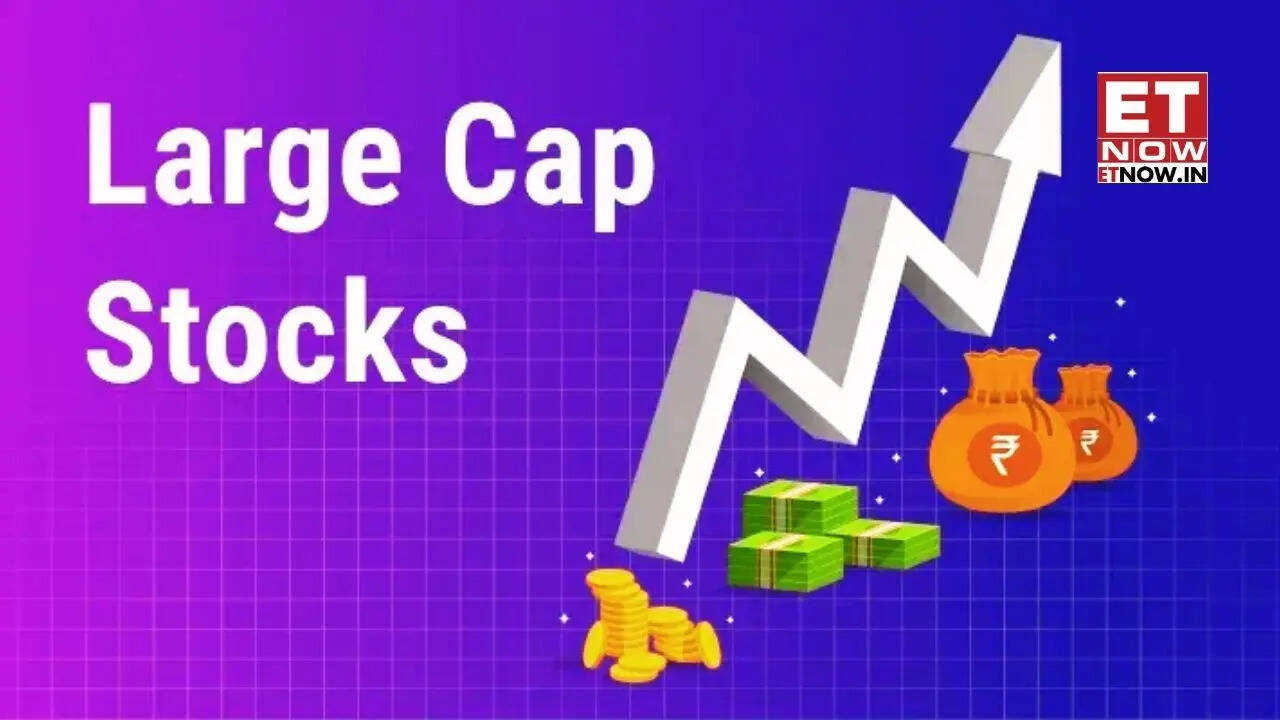Top 15 large-cap stocks: Up to 35% upside potential - Analyst buy picks ...
