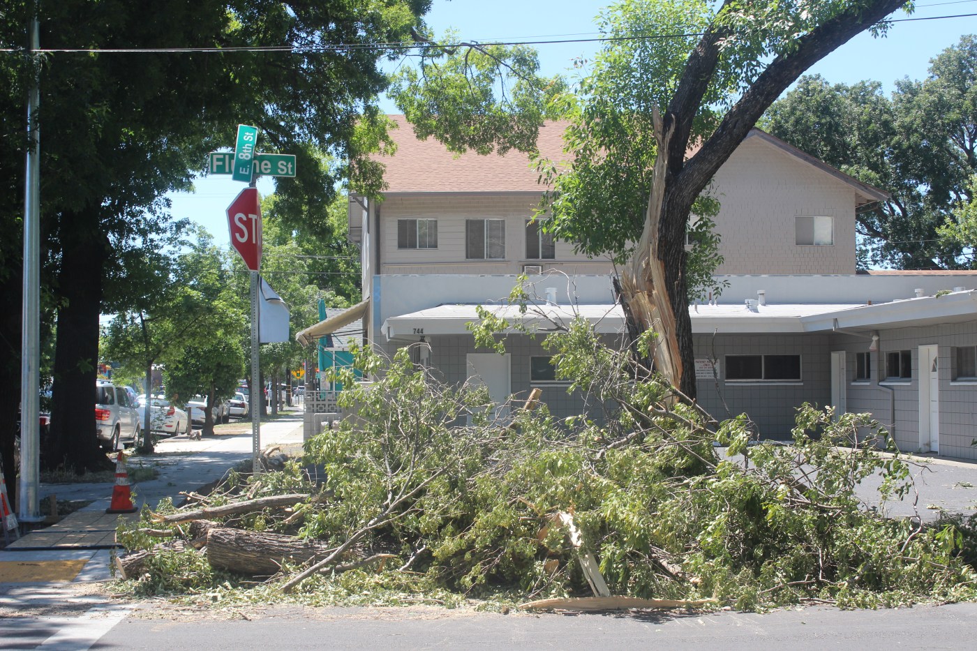 Windy weekend brings fallen trees, power outages to Butte County