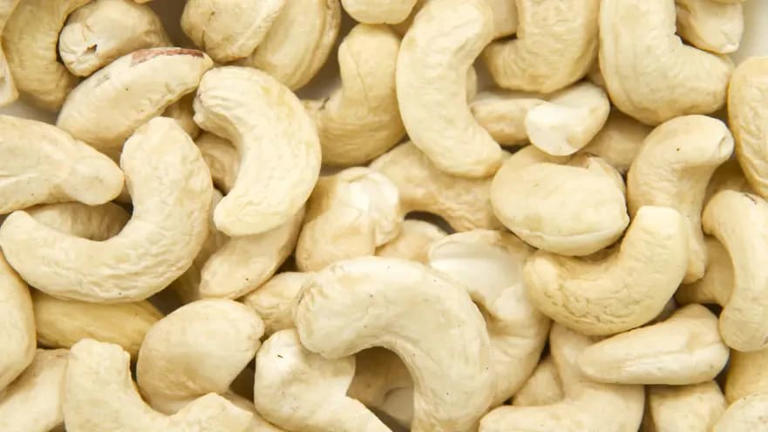 Tasty, expensive and considered healthy – but the cashew hides a big ...