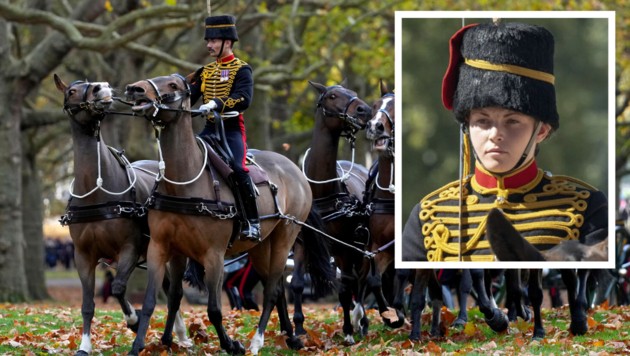 Soldatin stürzt bei royaler Pferdeshow zu Tode