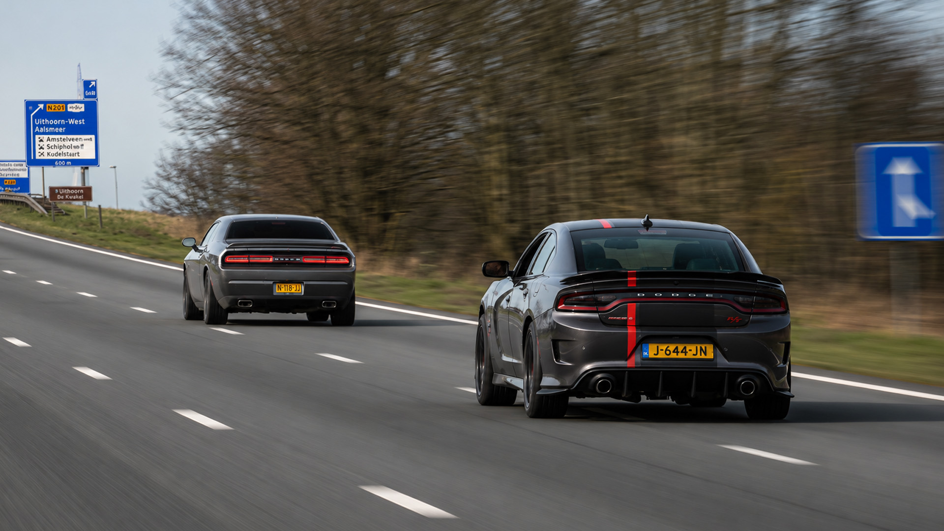 Two Dodge muscle cars battle on open road