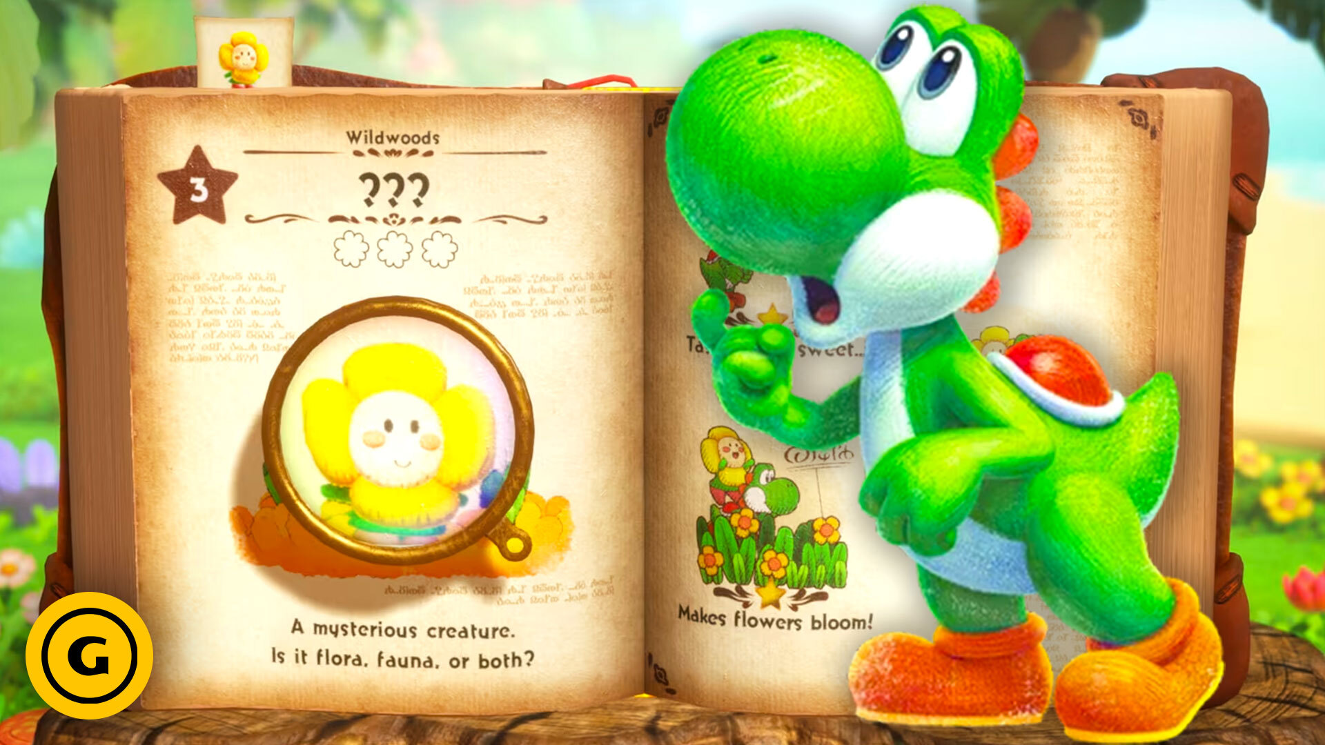 Yoshi and the mysterious book video review