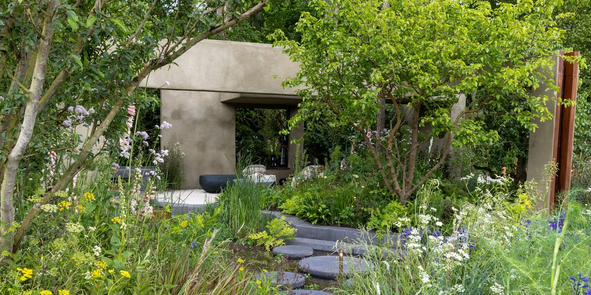 Chelsea Flower Show’s biggest trend? Wild, mid-height planting ...