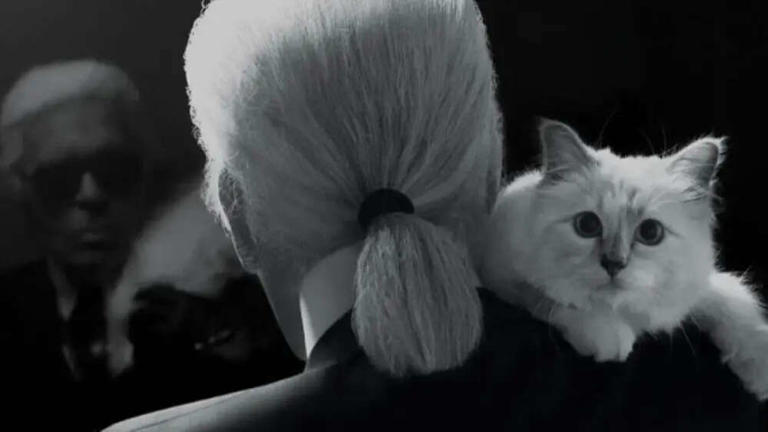 $200 million kitty: Meet Choupette, the world's richest cat, whose ...