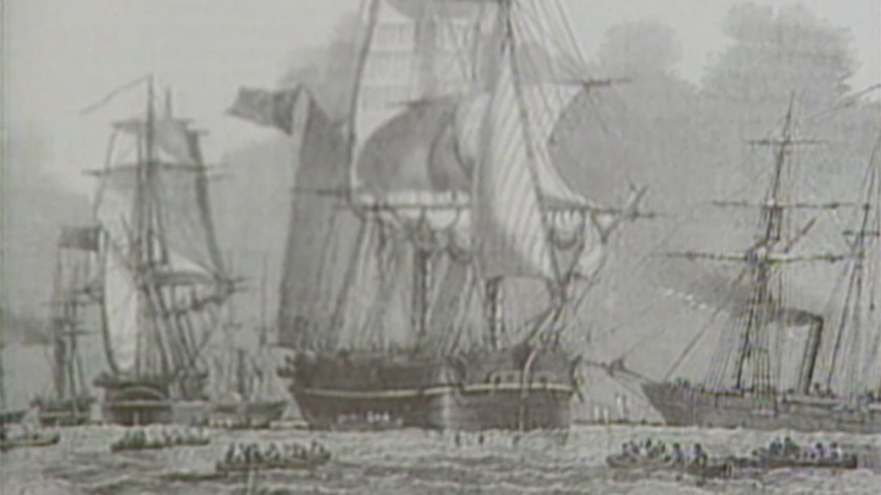 Researchers identify four more sailors from the lost Franklin expedition
