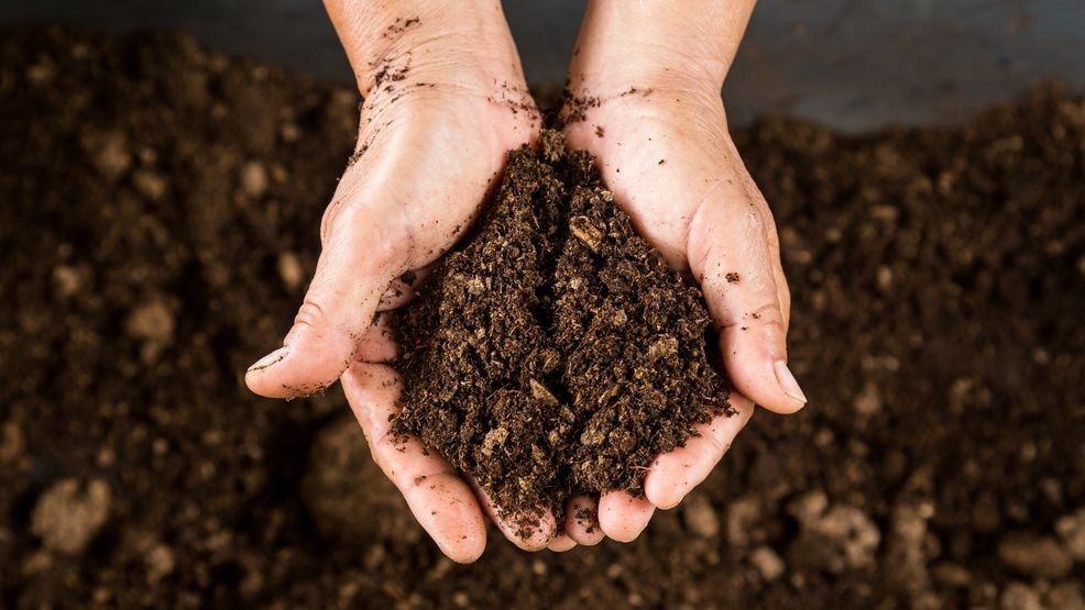 Baked dirt accidentally served at Maine school supper