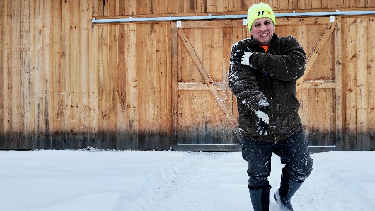 No days off: Caring for animals when snowed in