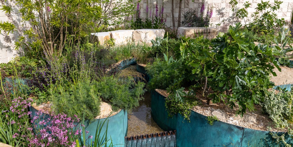 Every RHS Chelsea Flower Show 2026 medal winner revealed — including ...