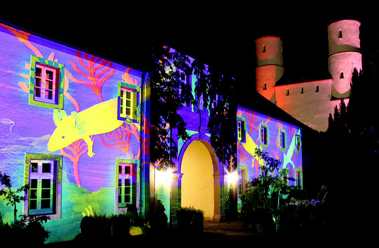 Steinfeld calling: Kunstvolle Illumination der Klosterfassade zu den ...