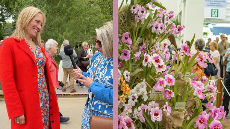 Heading to Chelsea Flower Show this week? 3 insider tips to know before ...