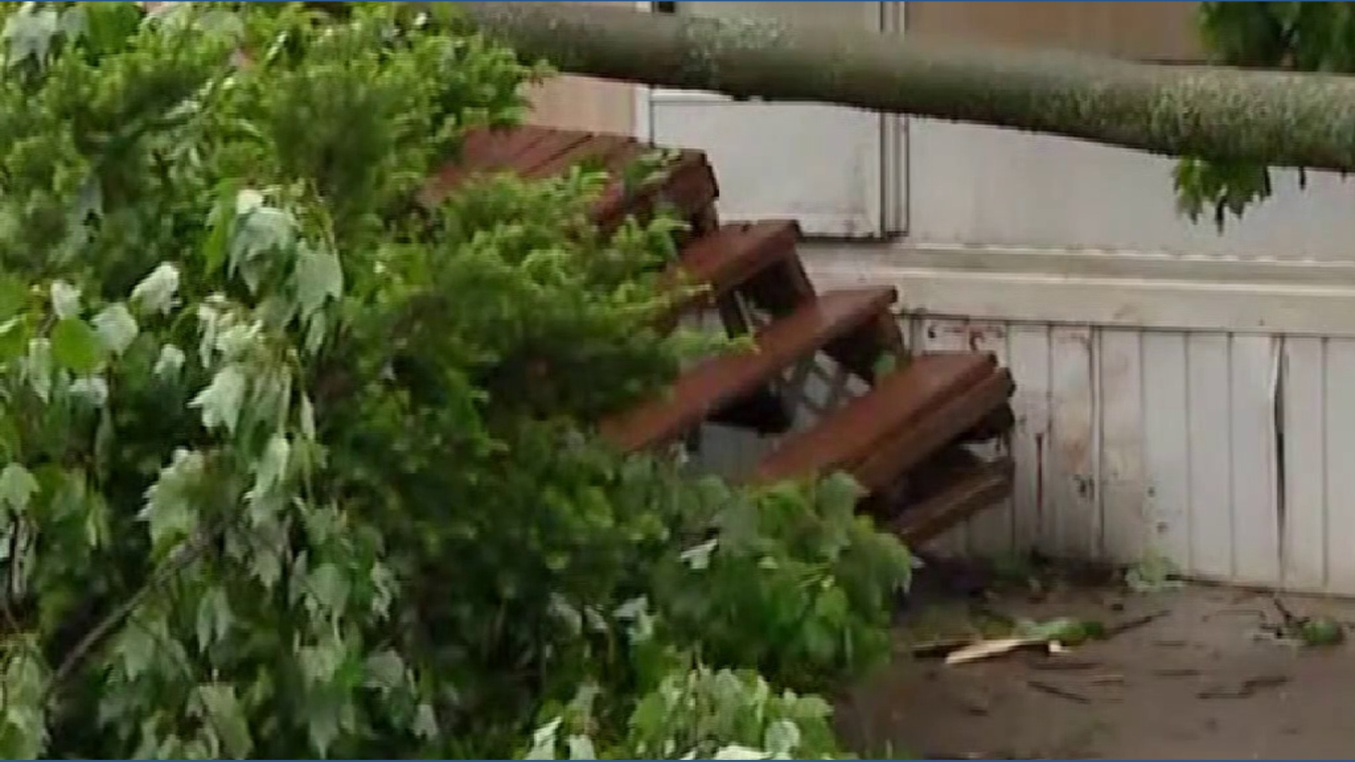 Severe storms down trees, rip roof off building in Michigan
