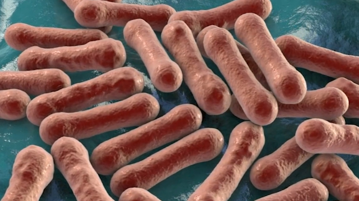 Hundreds of Australians infected with rare, deadly disease