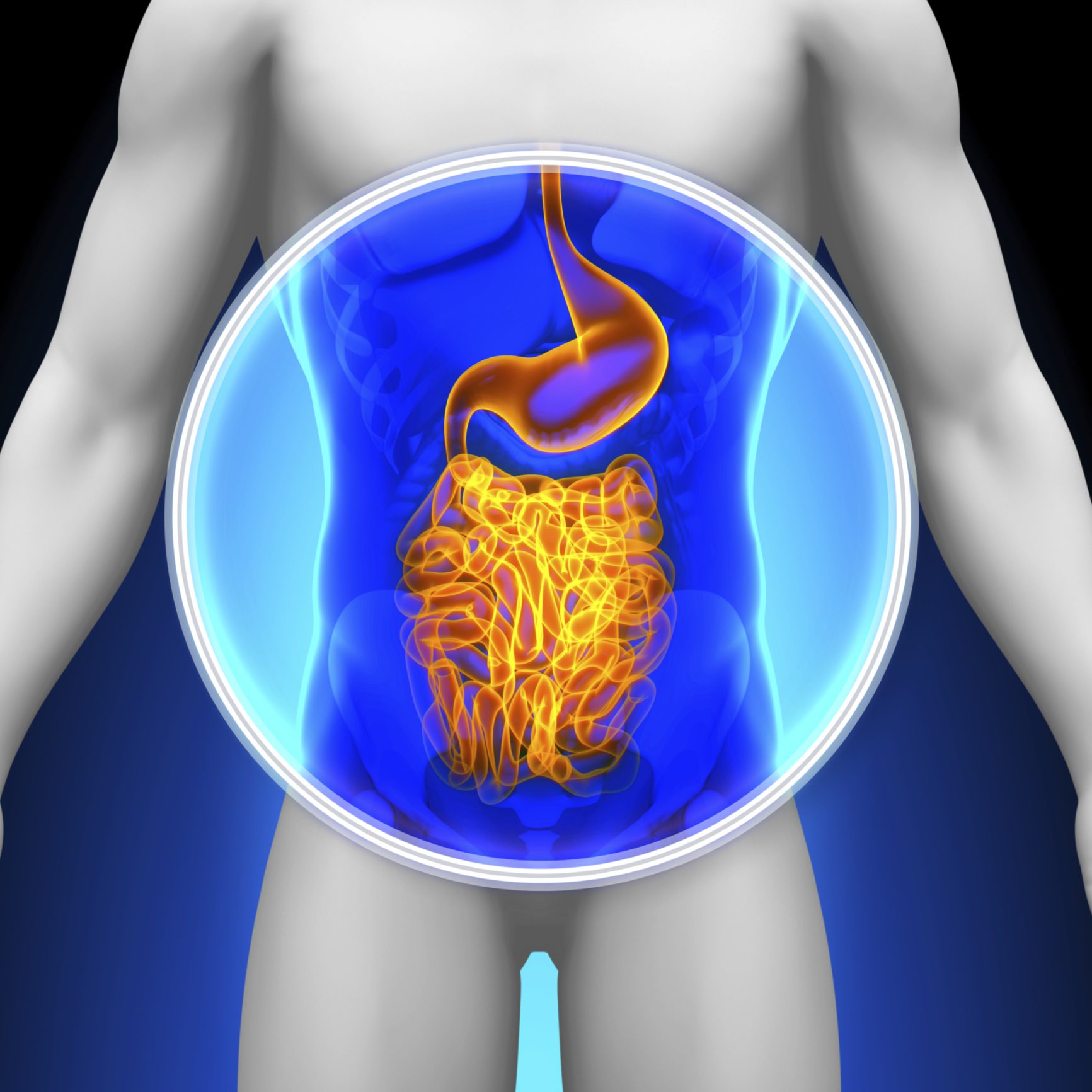 Giornata mondiale delle malattie infiammatorie croniche intestinali ...