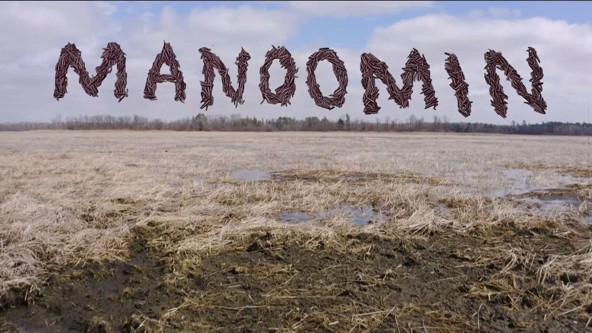 Minnesota legislator, Indigenous leaders advocate for protection of ...
