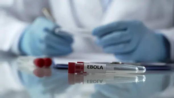 OMS estima vacina contra cepa do Ebola em até nove meses