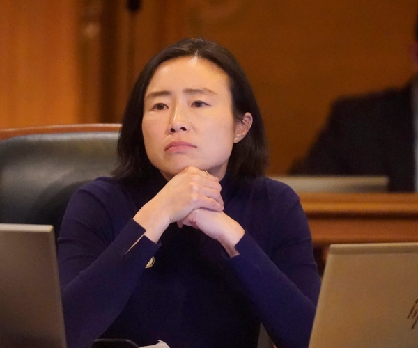Pelosi backs Connie Chan for Congress