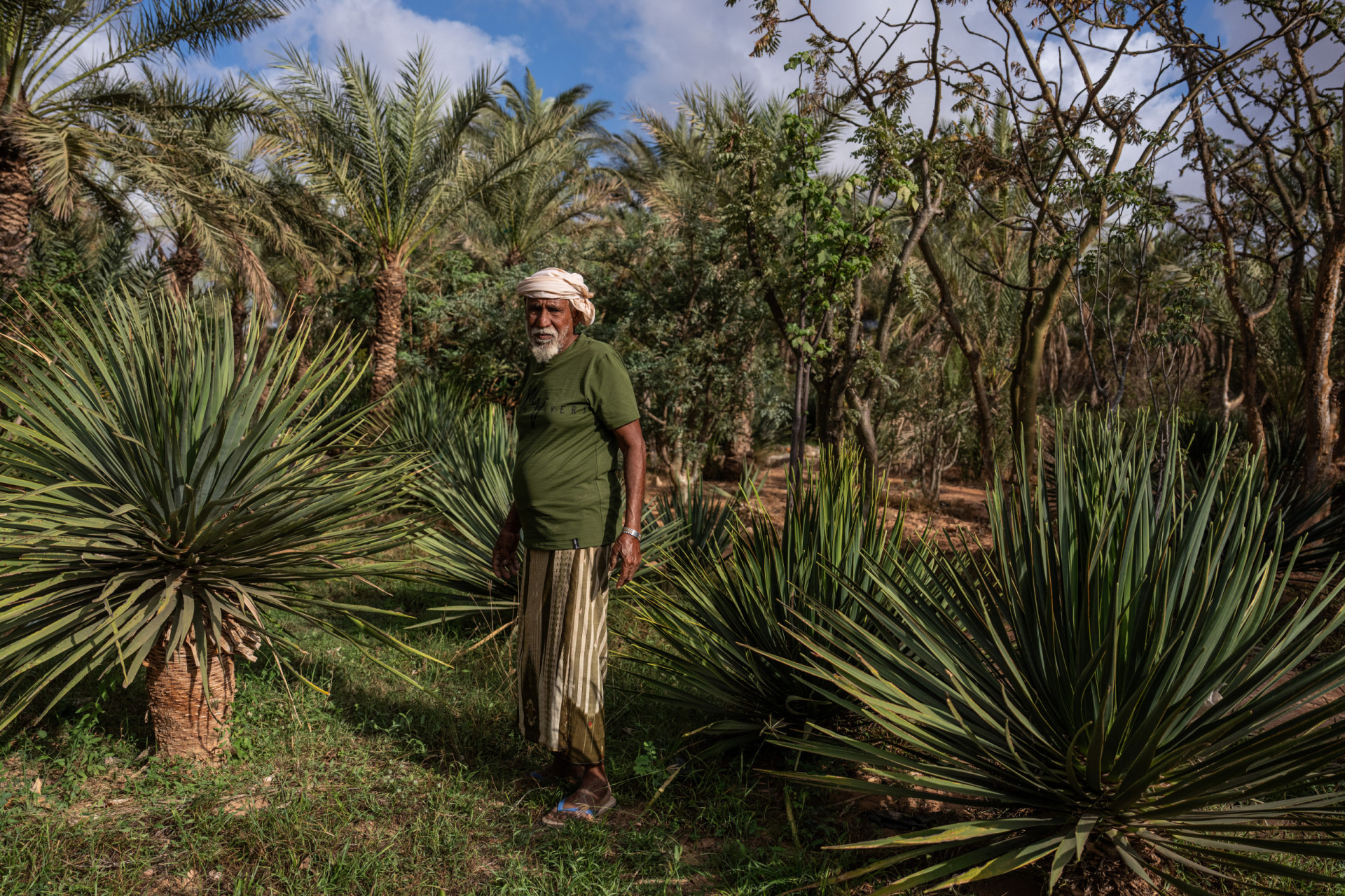 Socotra Island, the most unworldly place on the planet