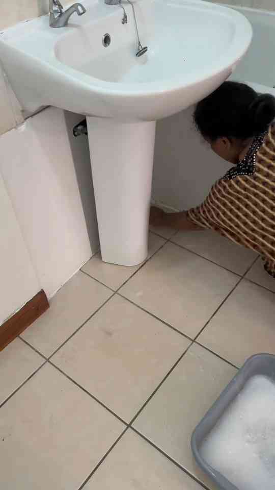 Satisfying bathroom deep clean reset