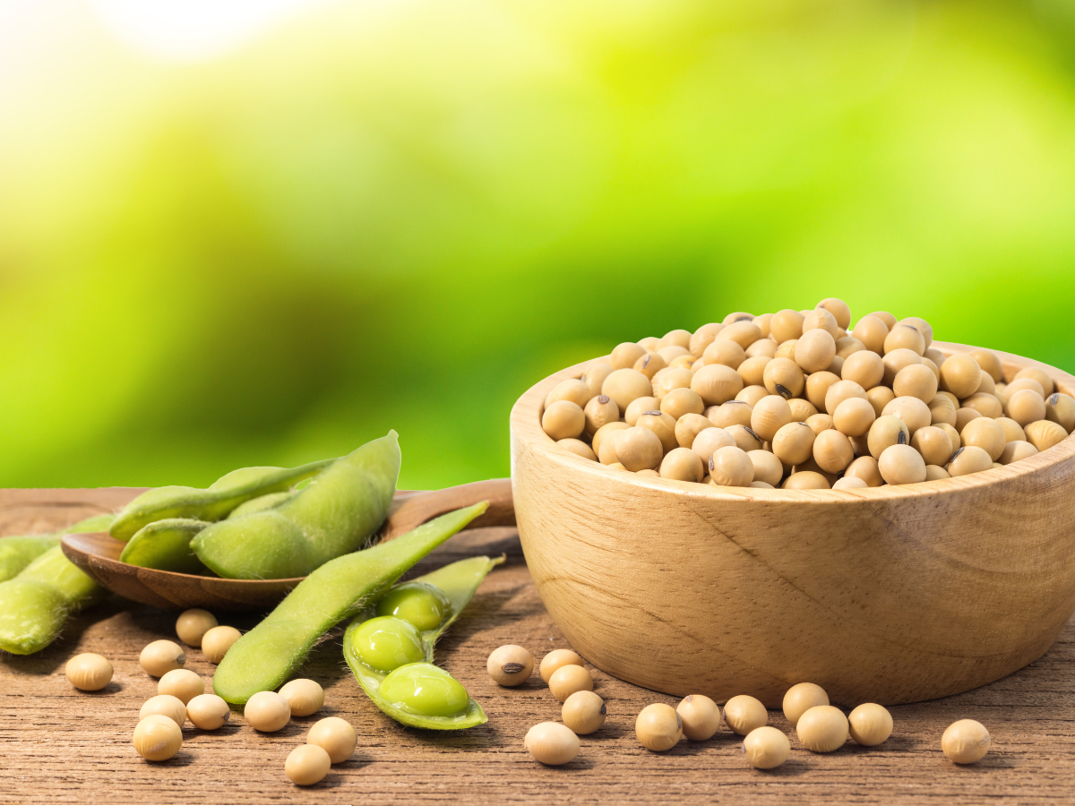 India soymeal exports to fall to four-year low on rising prices