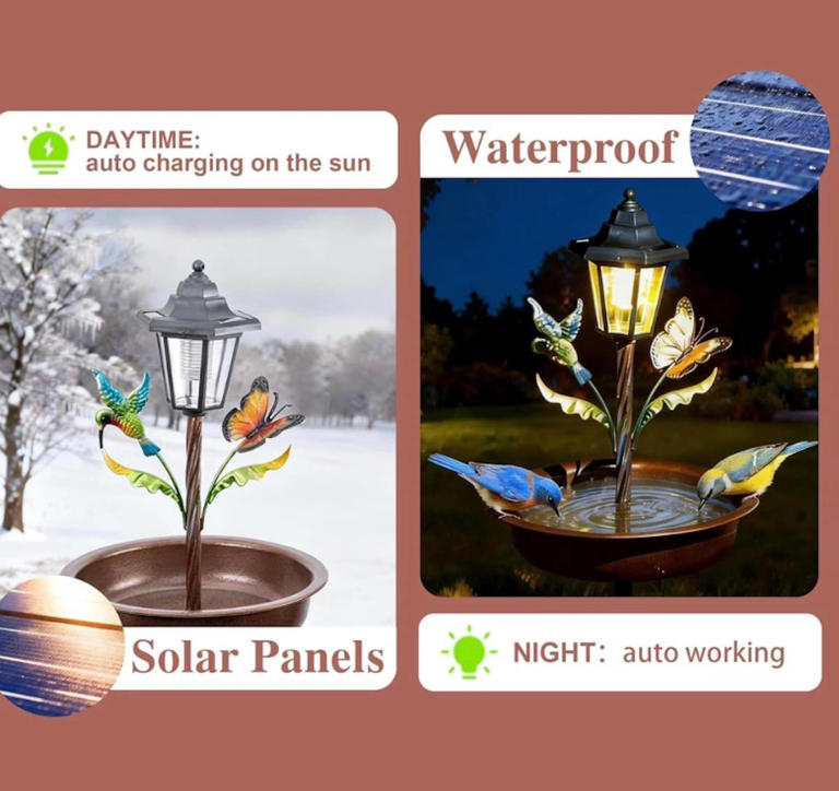 Discover Walmart's $27 solar light bird bath: A stylish addition to ...