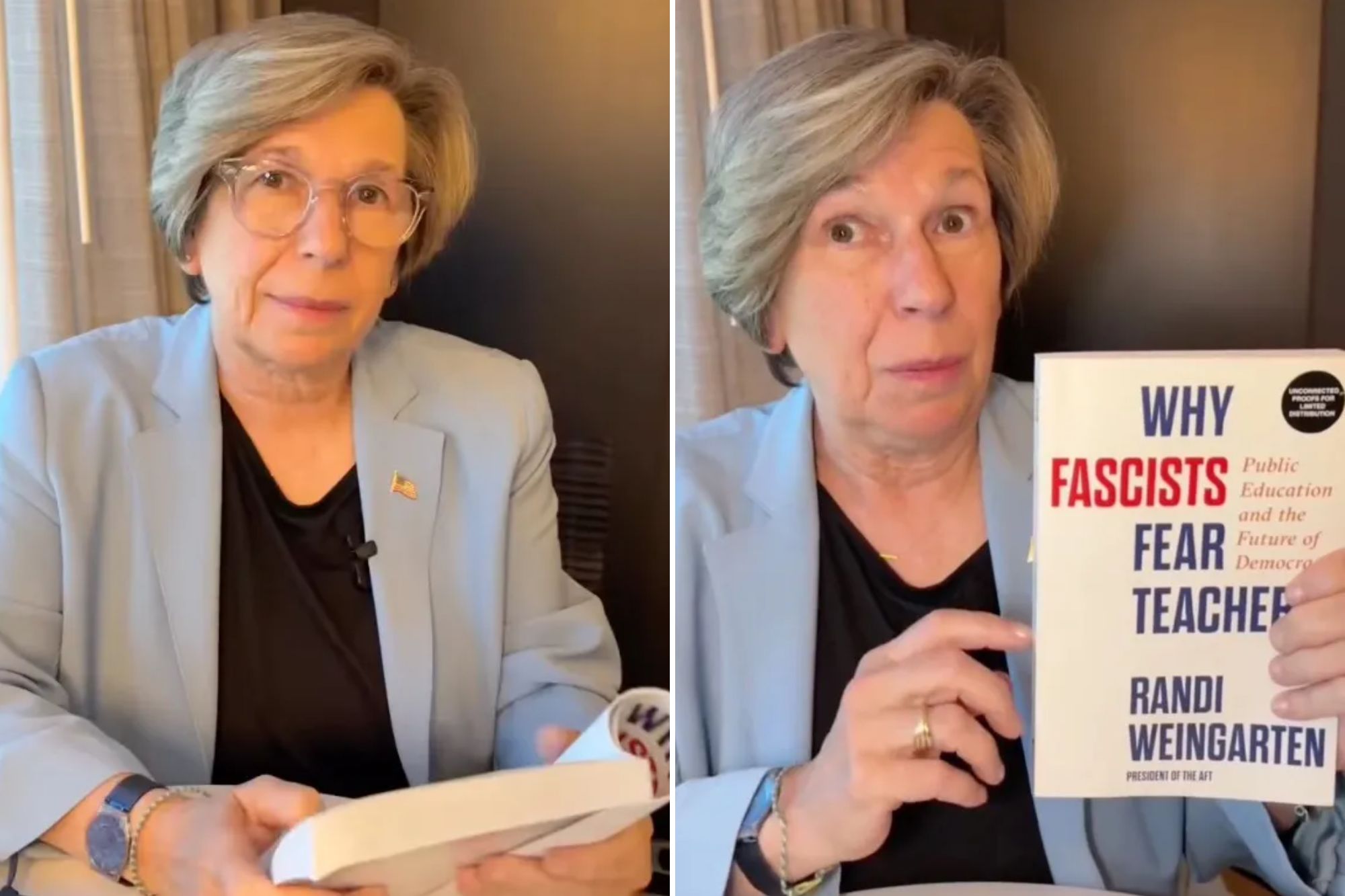 AFT boss Randi Weingarten tapped union resources worth over $1.4M to ...