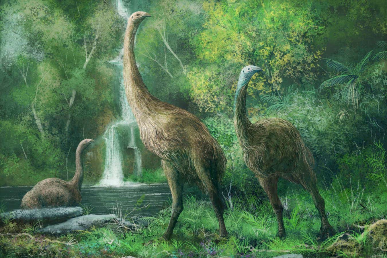 Colossal claims an artificial eggshell will help it bring back the moa
