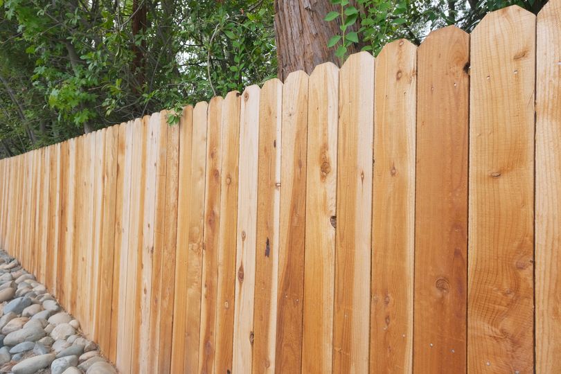 Legal rules around neighbour painting a shared fence explained