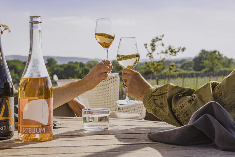 A toast to Sussex: Lewes hosts Winelands Festival 2026