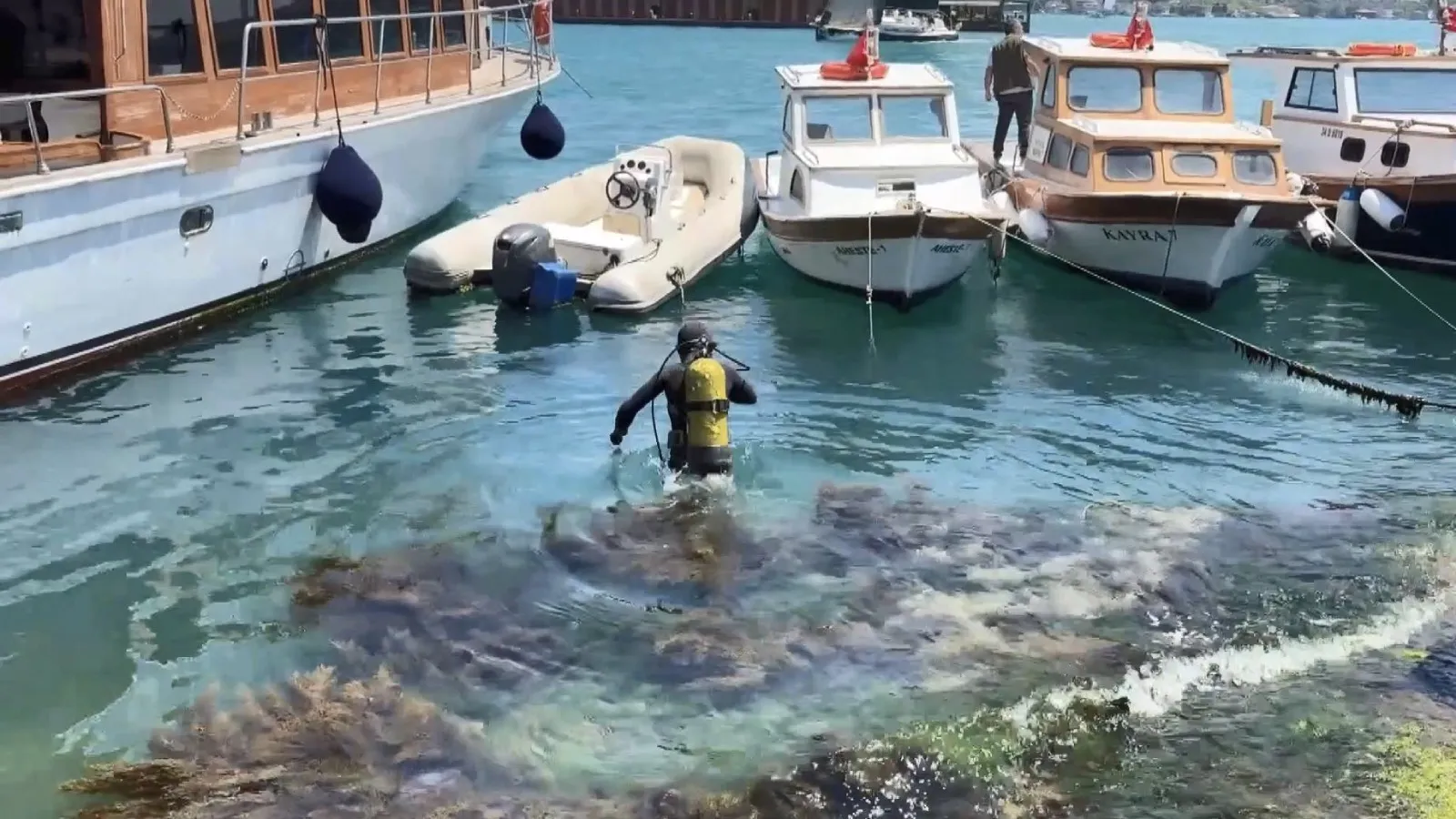 İstanbul Boğazı'na midye toplamak için daldı, kayboldu: 12 saat sonra ...