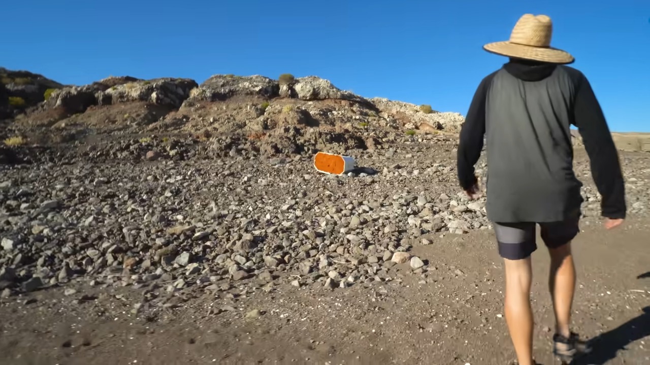 Discovering deadly death adder snake in Australian wilderness