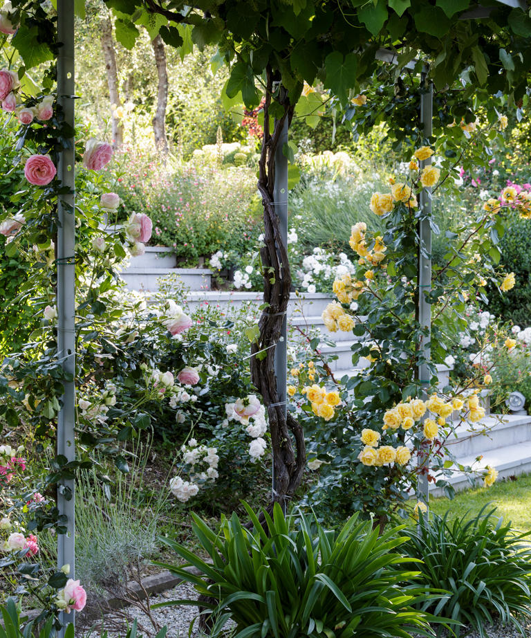 7 vertical garden ideas – to elevate your planting and maximize your ...