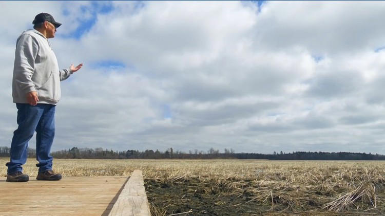 Minnesota legislator, Indigenous rice farmers advocate to protect wild rice
