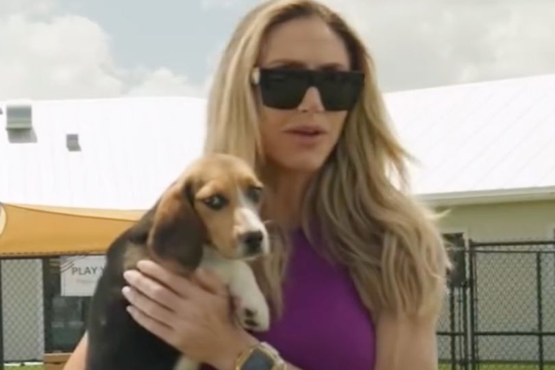 Lara Trump gets warning about her messaging as she shares update after ...