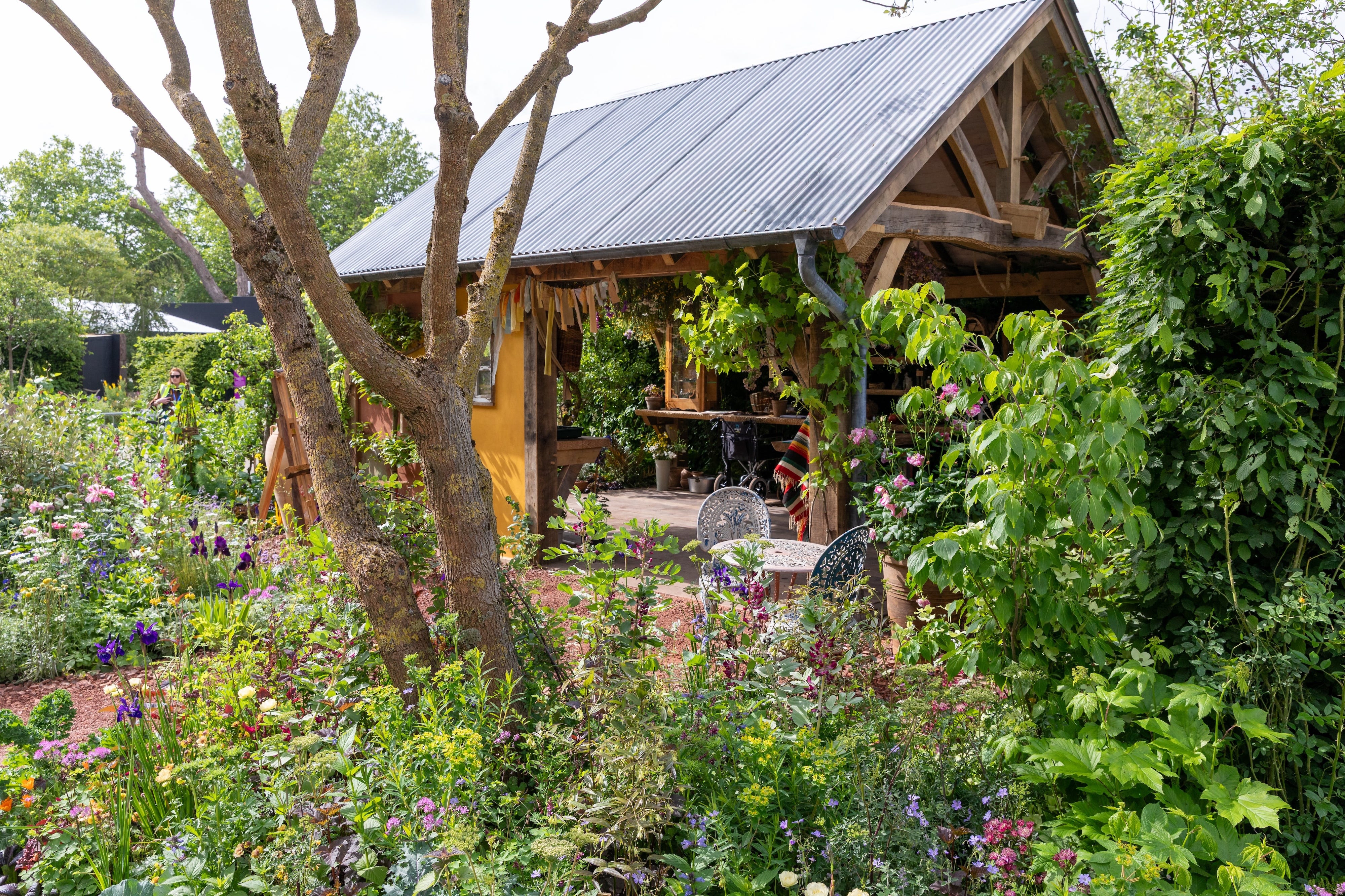 The RHS and The King's Foundation Curious Garden isn't here to impress ...