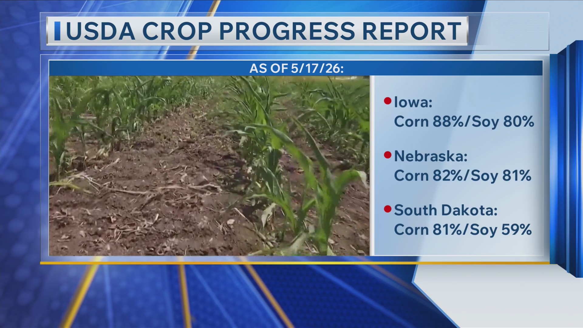 USDA crop progress report 5/19/26