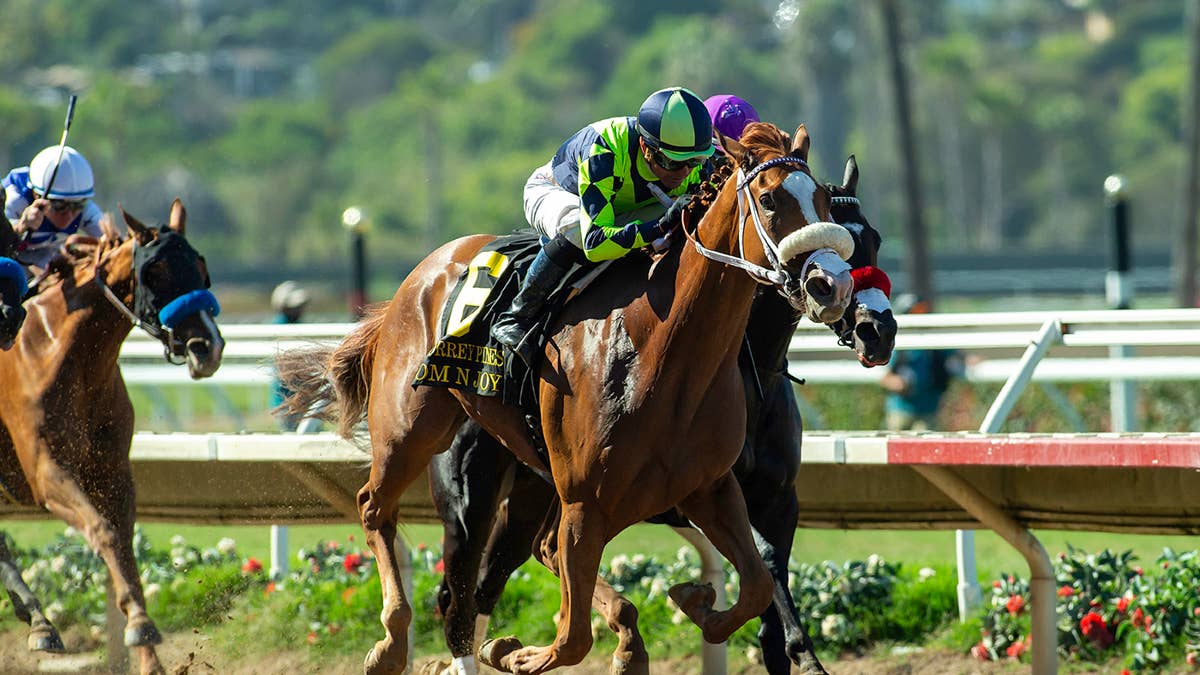 Big City Lights, Om N Joy lead California Gold Rush Day Stakes program