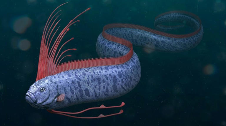 Strange deep-sea creatures were once mistaken for monsters and it's ...