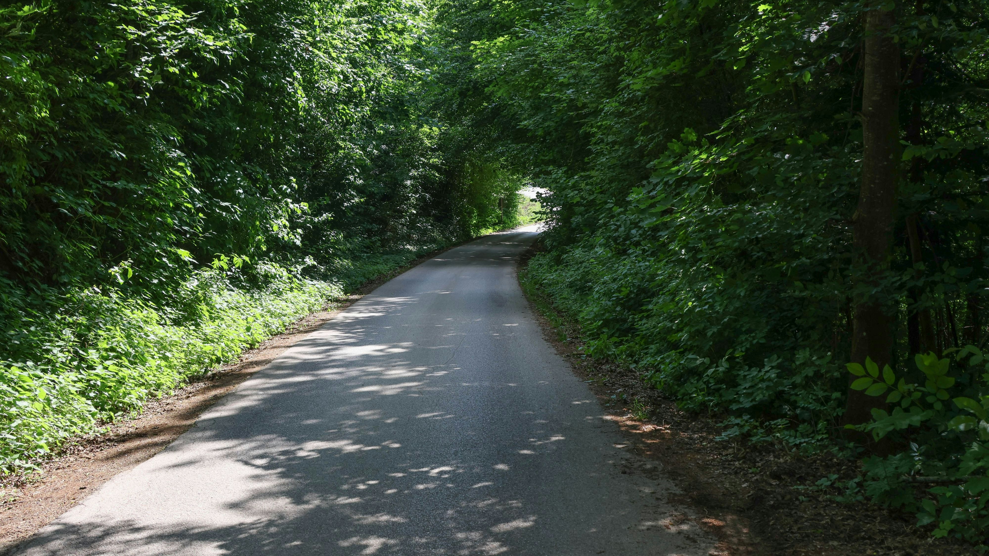 Pater (75) von Stift stirbt nach schwerem Fahrradsturz