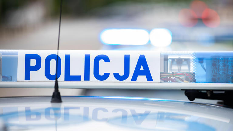 3-latek mógł wypaść z okna. Jego ojciec poszedł na spacer z psem