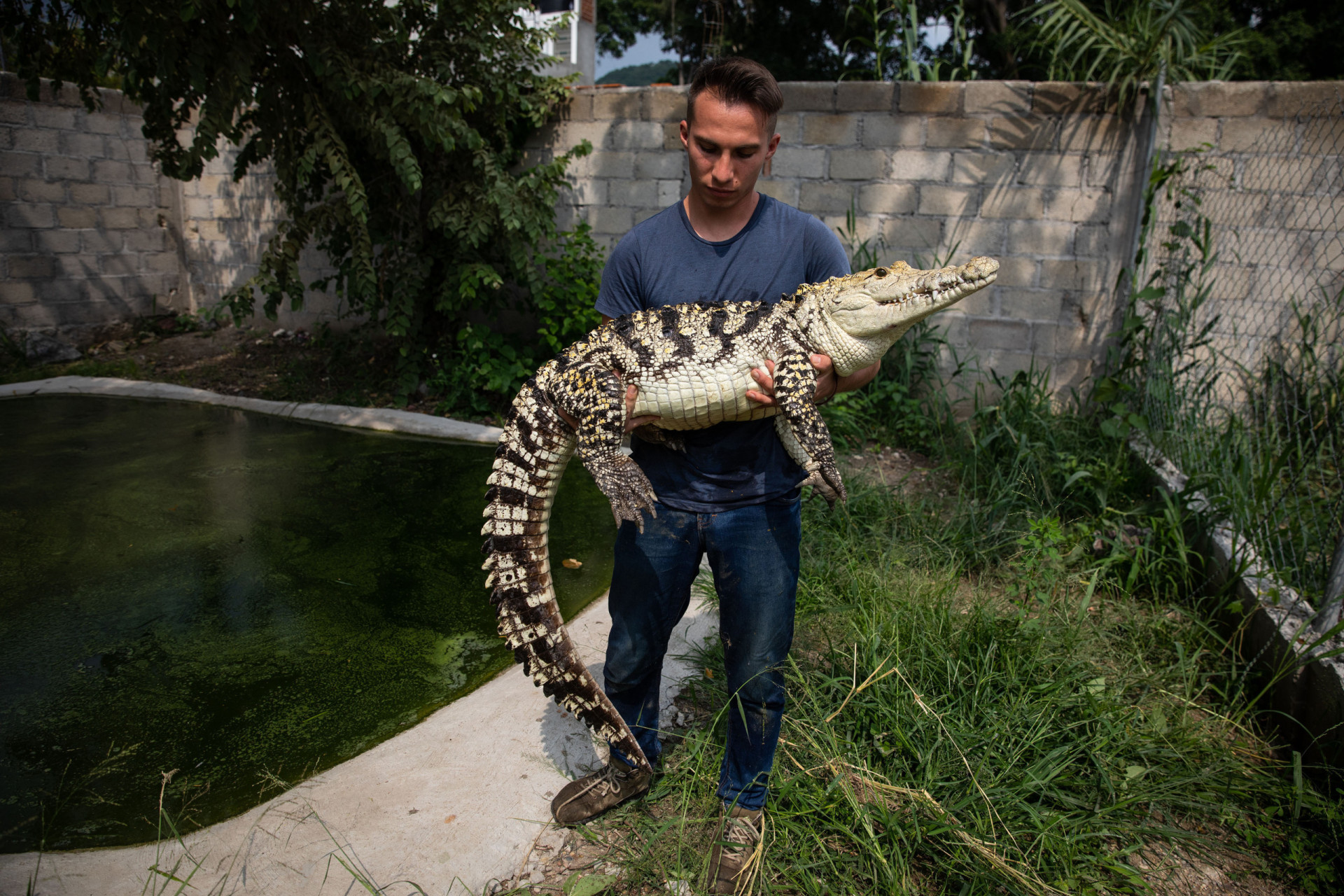 The worst animals to keep as pets
