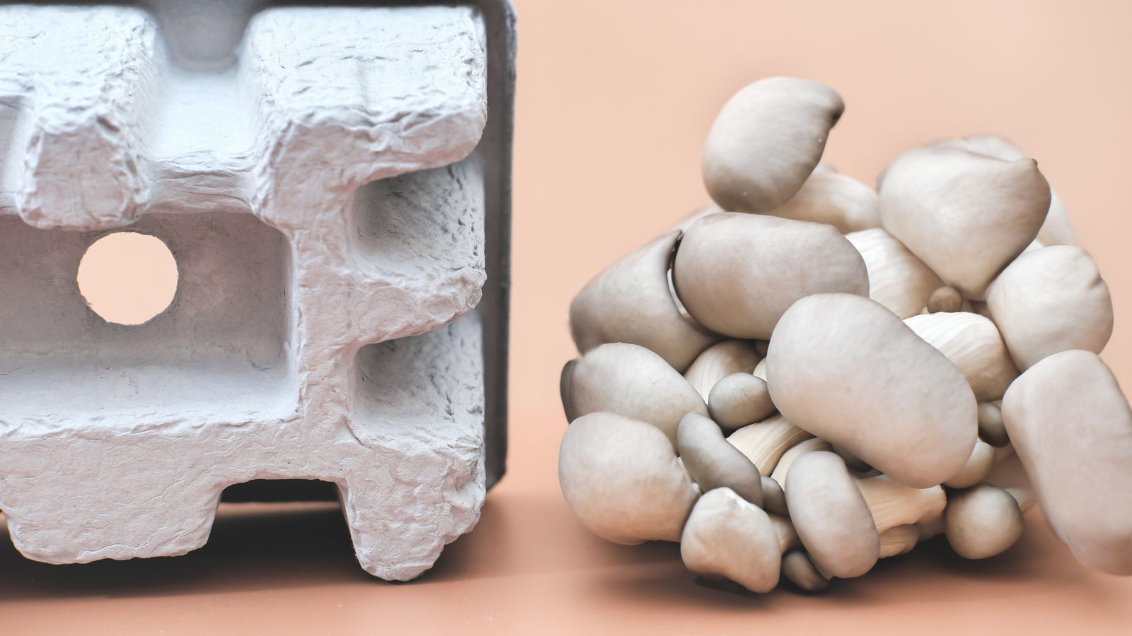 The US just hit Canadian mushrooms with new duties